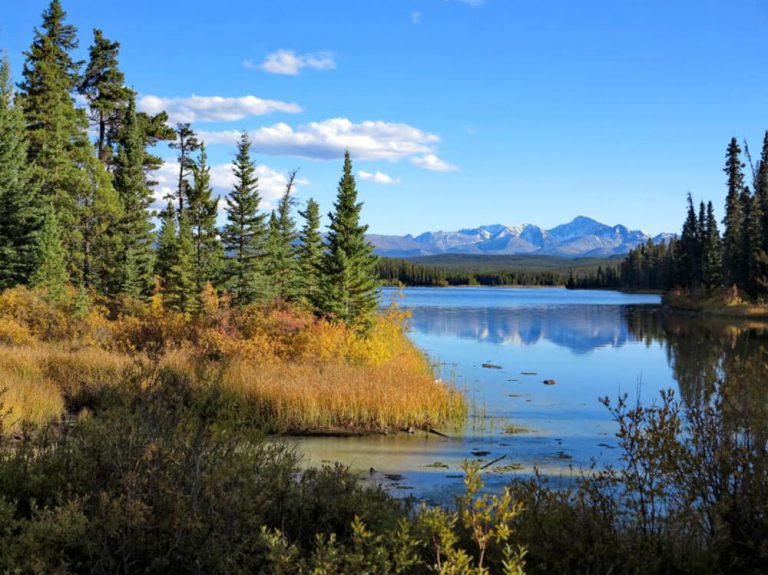 A visit to Fish Lake - Raven Trust