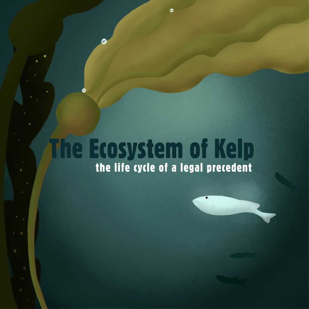 Infographic: The Ecosystem of Kelp, the life cycle of a legal precedent ...