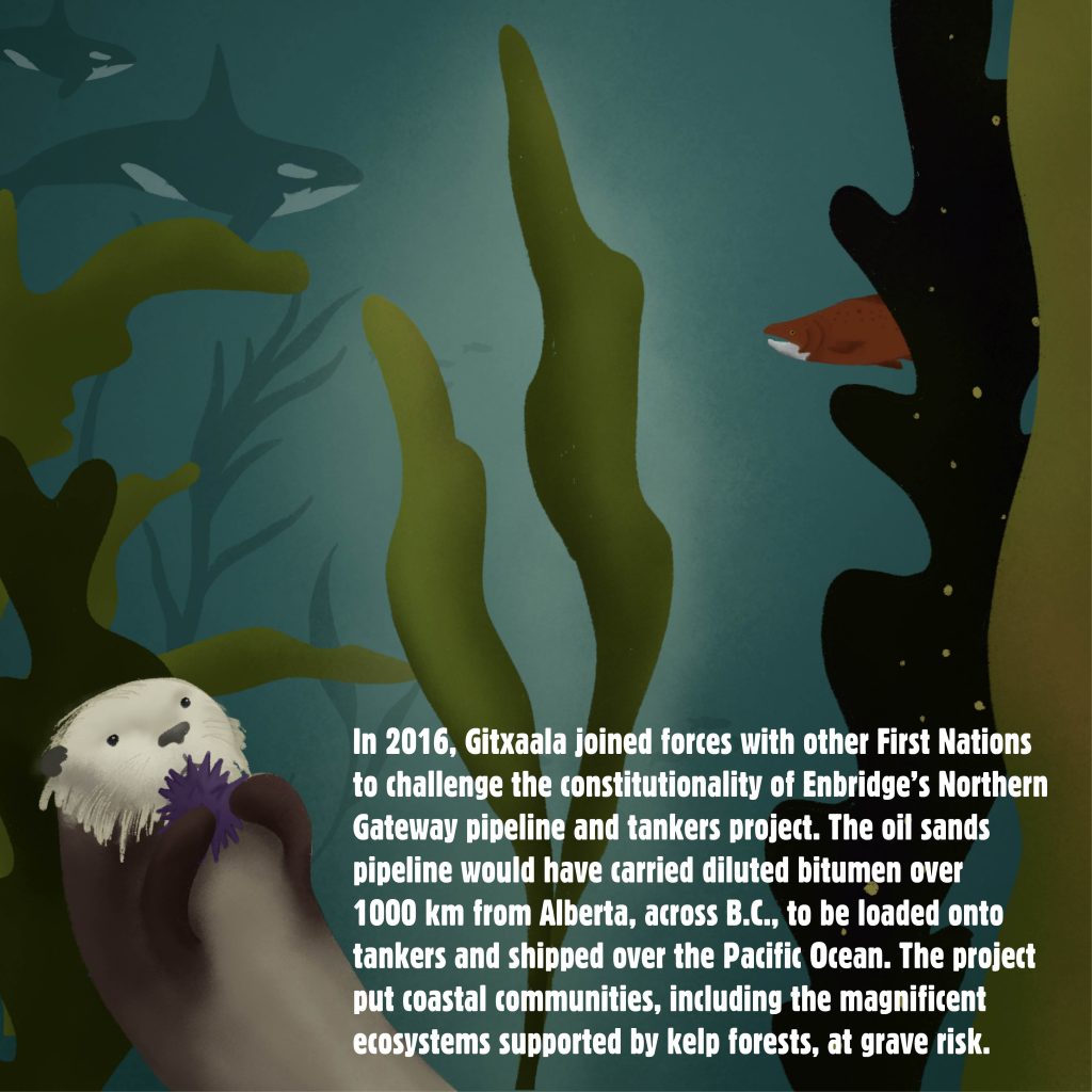 Infographic: The Ecosystem of Kelp, the life cycle of a legal precedent ...