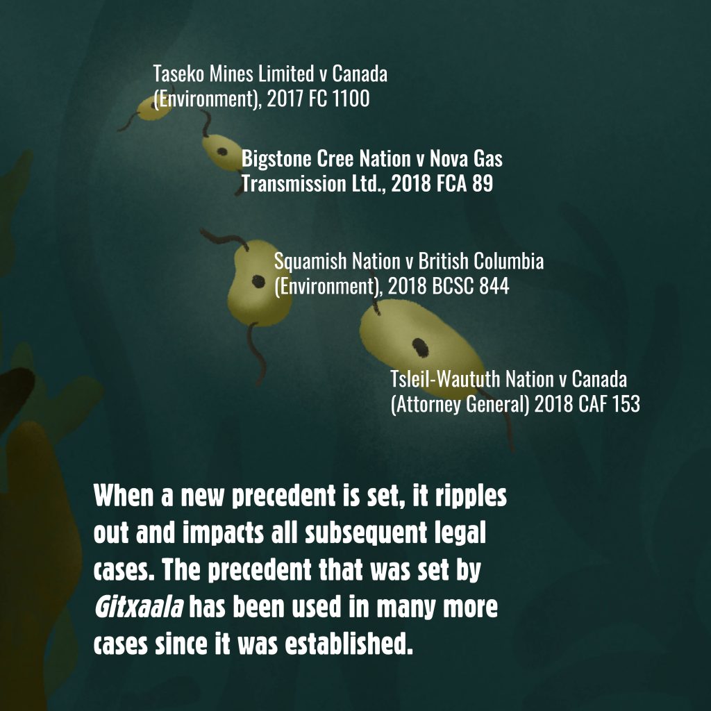 Infographic: The Ecosystem of Kelp, the life cycle of a legal precedent ...