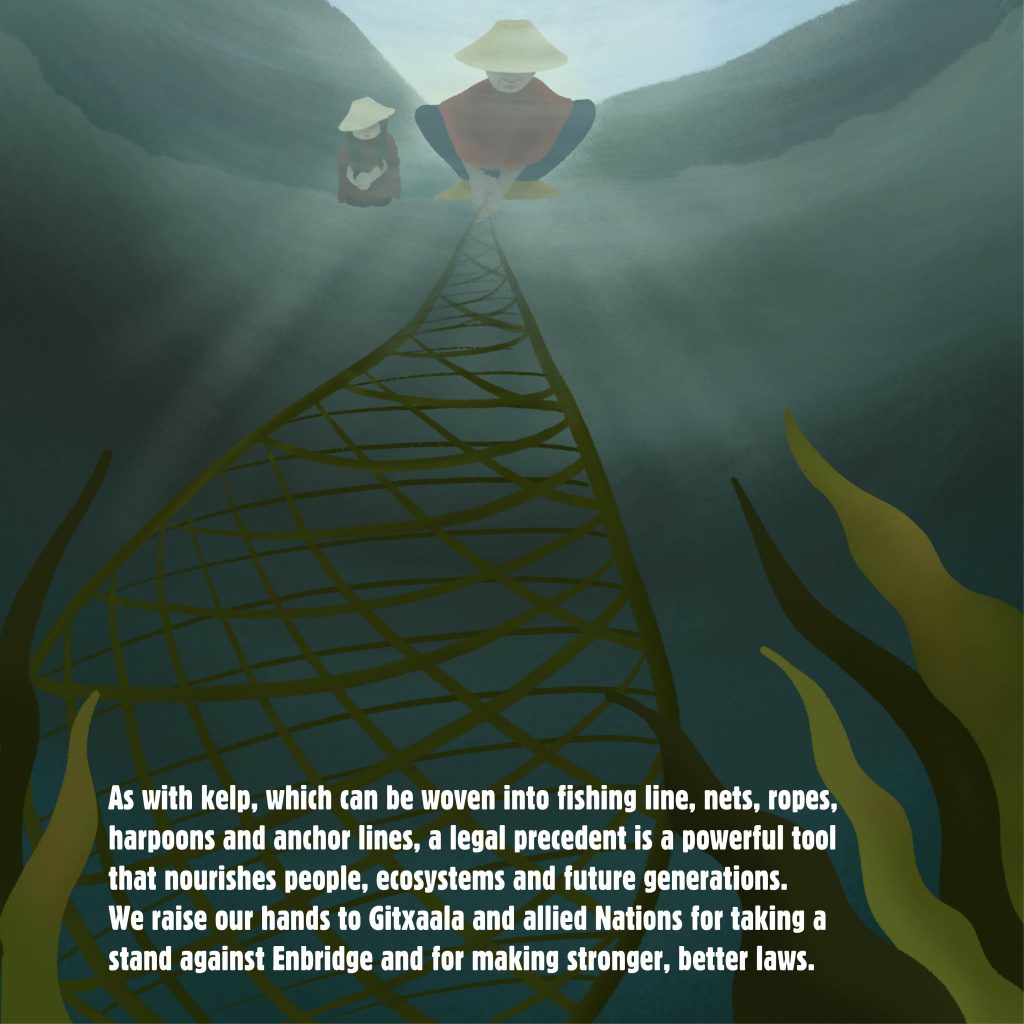 Infographic: The Ecosystem of Kelp, the life cycle of a legal precedent ...