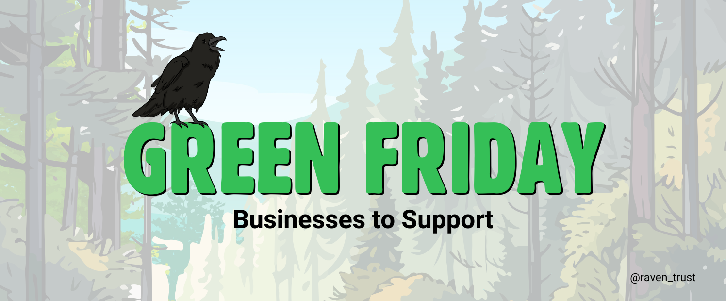 It’s Green Friday: Conscious Shopping for the Holidays - Raven Trust